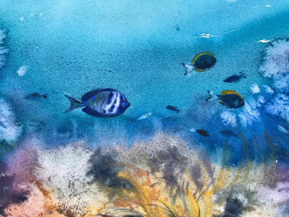 Watercolor Painting Original, Tropic Fish, Undersea Art, Ocean Coral A ...
